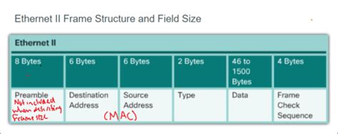 Chapter 4 Data Link And Network Layer Protocols Flashcards Quizlet