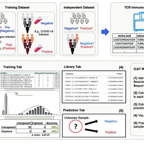 Workflow For Tcr Repertoire Sequencing And Diagnostic Assessment Of