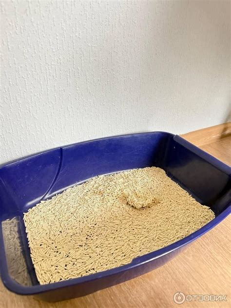 Отзыв о Наполнитель комкующийся растительный для кошачьего туалета Miaumi Tofu Jasmine Scented