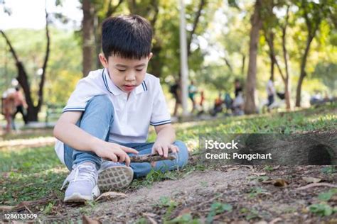 공공 정원에 앉아 나뭇가지 나뭇가지 또는 막대기로 땅에 그림을 그리는 아시아 소년 흰색 티셔츠와 청바지를 입은 아이 야외 및 가족 활동 크리에이티브 및 초상화 컨셉 T