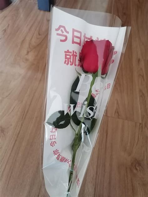 开心快乐的一天（女神节快乐） 知乎