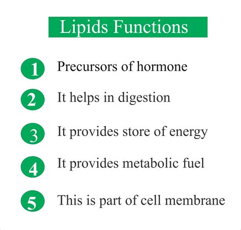 Lipids Total
