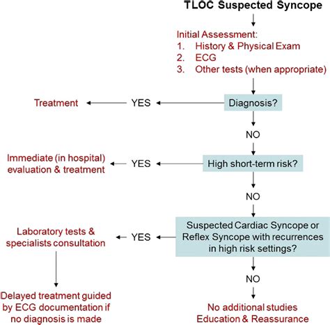 New Concepts In The Assessment Of Syncope Jacc