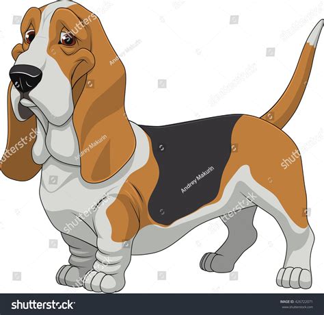 Basset Cartoon Clipart Hound