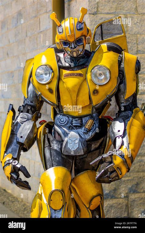 Bumblebee Transformers