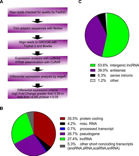 Distribution Of RNA Seq Data A Analysis Workflow For RNA Seq Data Download Scientific