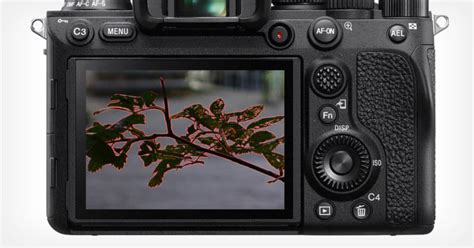 What Is Focus Peaking A Guide To The Manual Focusing Aid PetaPixel