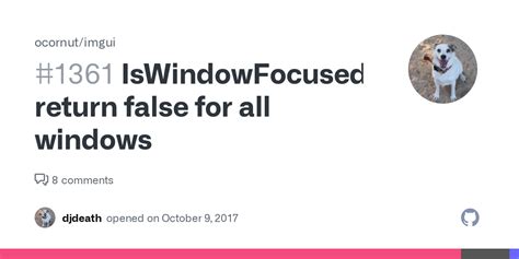 Iswindowfocused Return False For All Windows · Issue 1361 · Ocornut