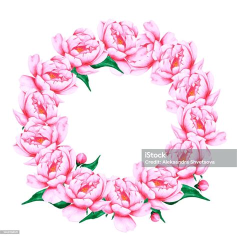 손으로 그린 수채화 핑크 모란 꽃 라운드 프레임 하숙인에는 흰색 배경에 녹색 잎과 새싹이 있습니다 스크랩북 디자인 웨딩 카드 및 초대장 라벨 배너 엽서 0명에 대한 스톡