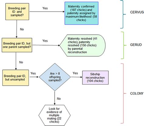 Work Flow Illustrating The Sequence Of Analyses And Software Used In Download Scientific