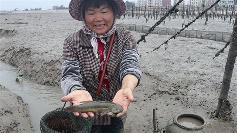 泰婶收竹筒没什么货，没想到大缸里有一窝惊喜，一条接一条抓爽了 Youtube