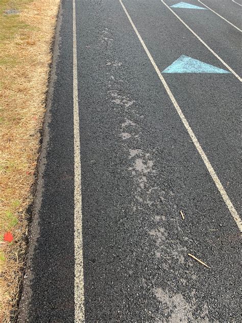 Att Sports Inc Polyurethane Vs Other Track Surfaces