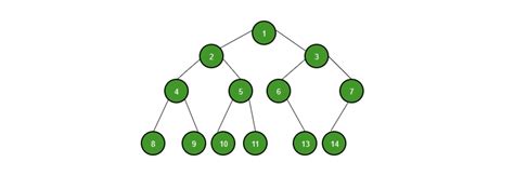 Trees And Binary Trees Intro To Data Structures
