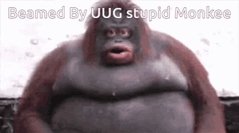 Roblox Beamed Roblox  Roblox Beamed Roblox Uug Beam Temukan And Bagikan 