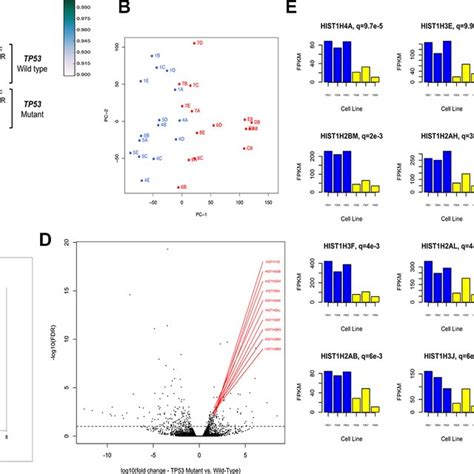 A Unsupervised Hierarchical Clustering Of Pairwise Pearson Download Scientific Diagram