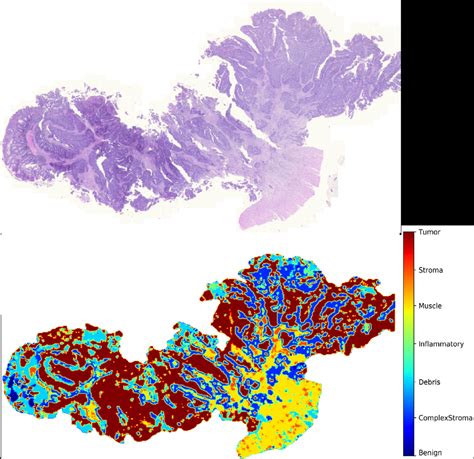 Qualitative Evaluation The Results Of The Proposed Deep Mrdl Algorithm Download Scientific