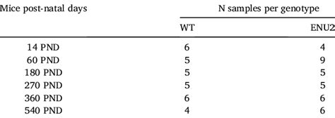 Mice Brains Numerosity Utilized In This Work Download Scientific Diagram