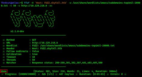 CTF Skyfall Linux Insane Infiltrators Hideout