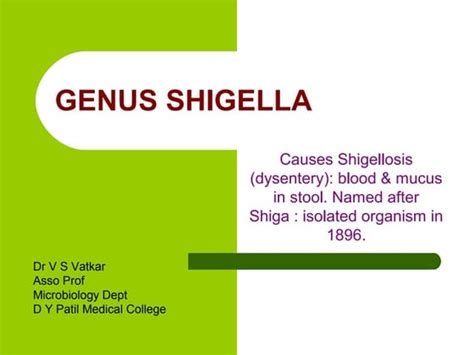 Shigella Pptx Chemistry Science