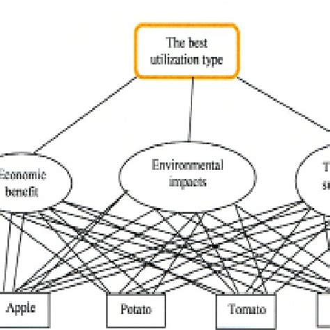 Hierarchy Of The Study Procedure Download Scientific Diagram