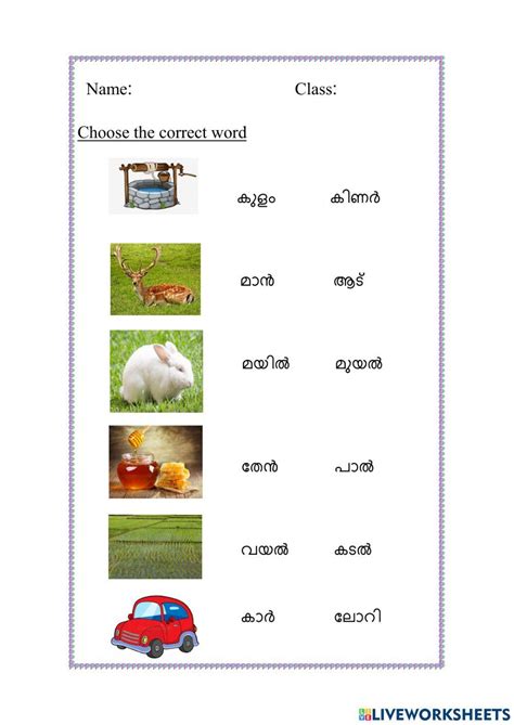 2335370 Malayalam Najiya A R Liveworksheets
