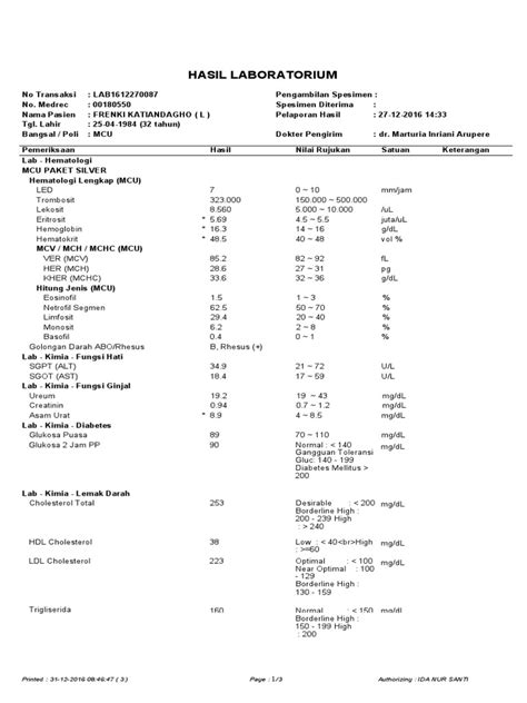 Contoh Template Hasil Lab Pdf
