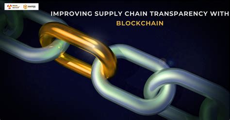 Improving Supply Chain Transparency With Blockchain Snapper Future Tech
