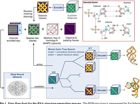 Figure 1 From De Novo Prediction Of Rna 3d Structures With Deep Generative Models Semantic Scholar