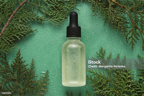 Thuja 가지가 있는 녹색 배경에 필수 또는 혈청이 있는 유리 스포이드 병 천연 유기농 화장품의 개념 초본 동종 요법 제품 0명에 대한 스톡 사진 및 기타 이미지 Istock