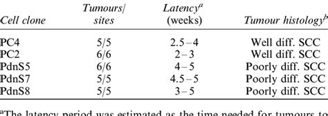 Tumorigenicity Of The Cell Lines In Nude Mice Download Table