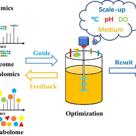 Comparison Of Microbial Manufacturing Process Optimization Using Download Scientific Diagram