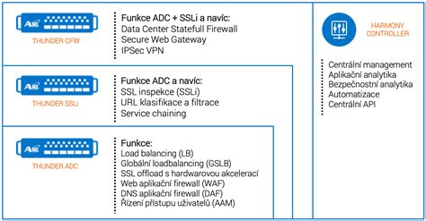 A10 Networks Antiddos Cgnat Adc Waf A Ssl Inspekce Vpgc