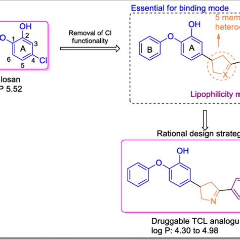 Rational Design Strategy Of Compounds 5a G Download Scientific Diagram