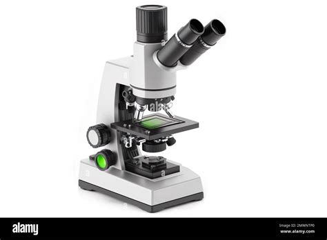 Generative Ai Illustration Cut Out Stock Images And Pictures Alamy