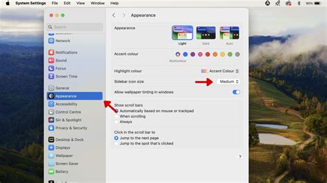 How To Increase The Text Size On Your MacBook TechRadar