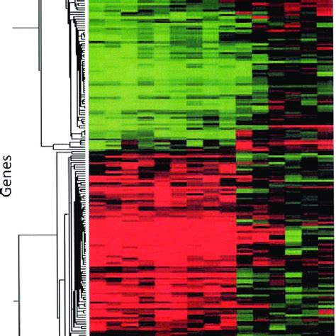 Workflow For Analysis Of Microarray Data Individual Microarray Chip