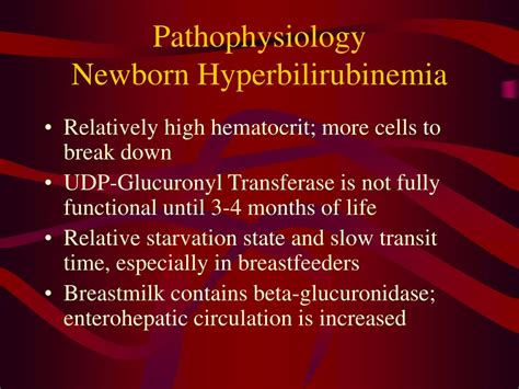 Ppt Kernicterus Powerpoint Presentation Free Download Id 222465