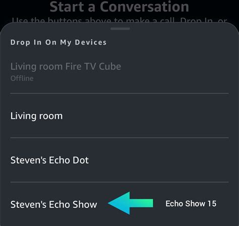 Can You Video Call Echo Show From IPhone