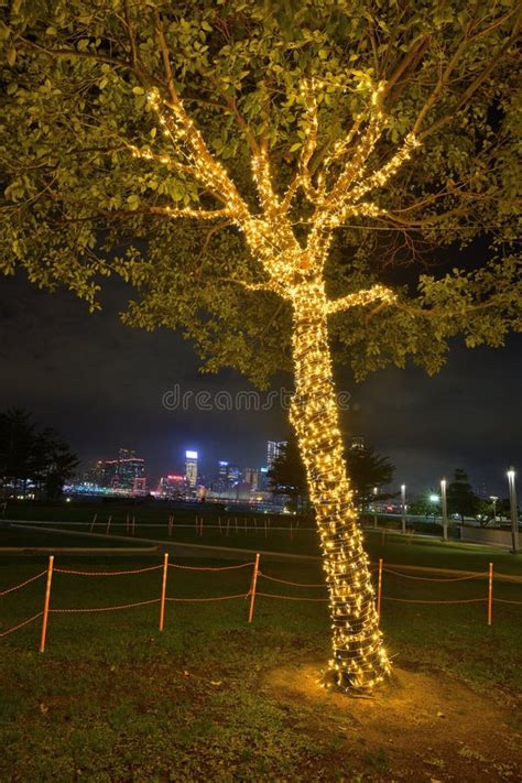 Park Light LED Tree Garden Luminous Stock Photo Image Of Bright Lantern 268991540