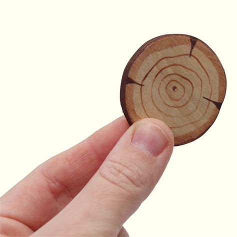 Miniature Log Slices 6 Pieces Good Shepherd Toys