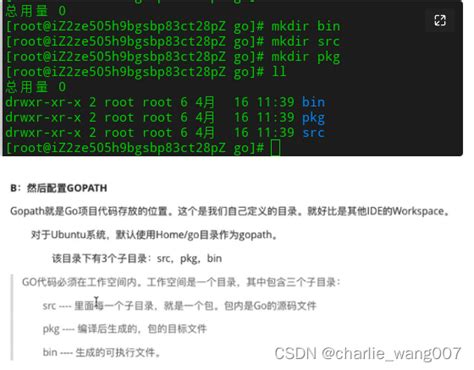 linux安装golang CSDN博客