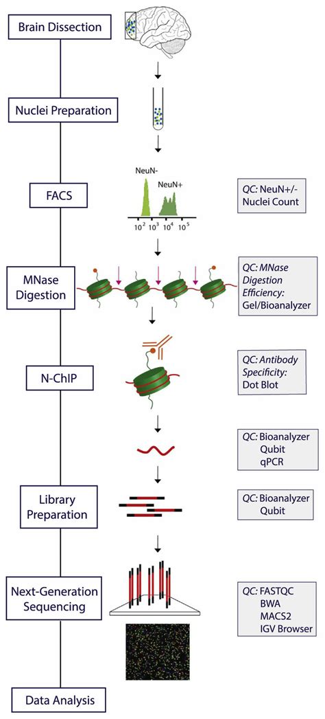 Chromatin Immunoprecipitation Followed By Deep Sequencing Pipeline