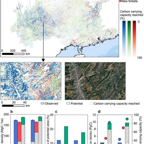 Potential Carbon Sequestration In Different Forest Types A The Of