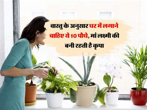 Vastu Tips वास्तु के अनुसार घर में लगाने चाहिए ये 10 पौधे मां