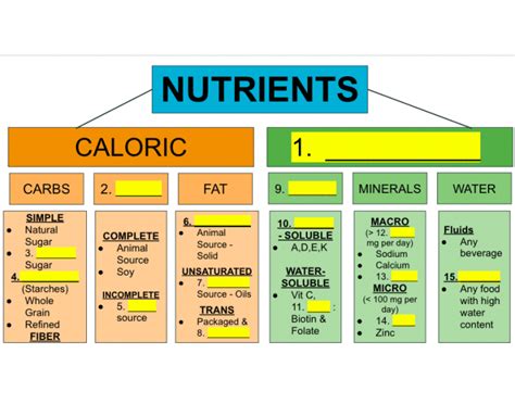 Nutrients Flowchart Quiz