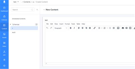 Tiny Editor Dont Visible Support Squidex Support