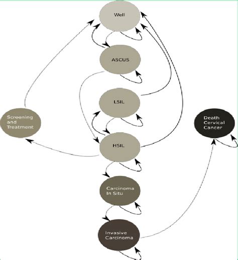 Markov Model Cervical Dysplasia With Progression To Cancer Download Scientific Diagram