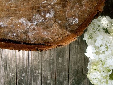 DIY Tree Stump Table A Daily Something