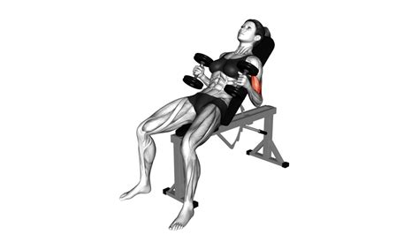 Dumbbell Hammer Curl Female Video Exercise Guide And Tips Workout Guru