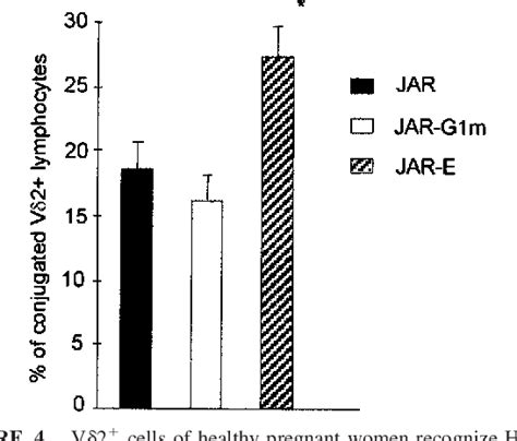 Figure 4 From Recognition Of Nonclassical Hla Class I Antigens By γδ T Cells During Pregnancy1